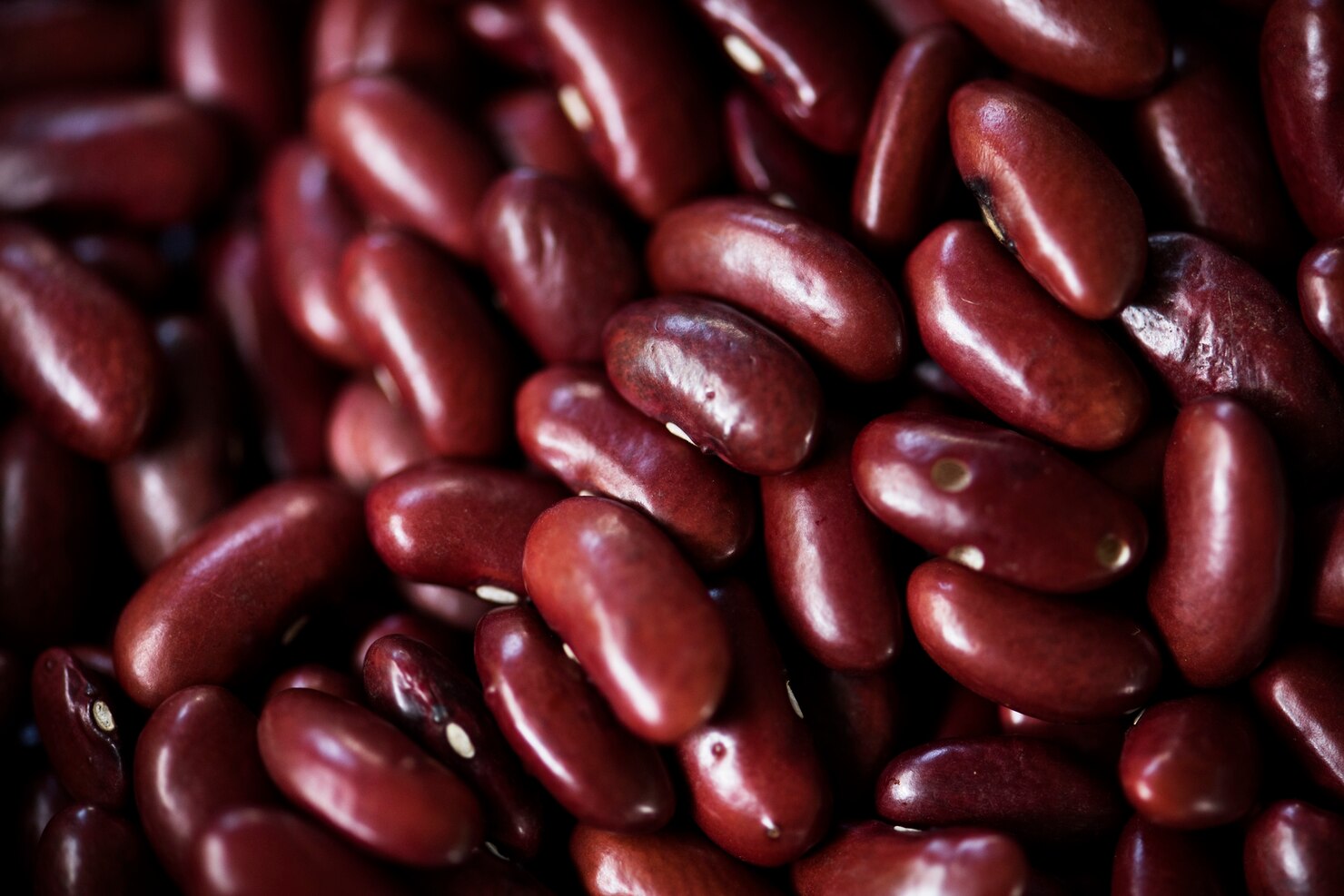 Partner with India’s Kidney Beans Export Company